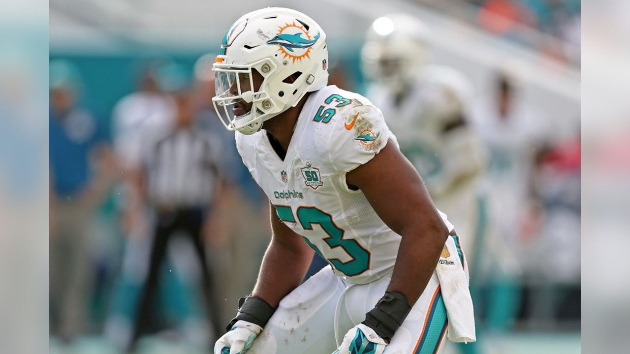 Jelani Jenkins Dolphins