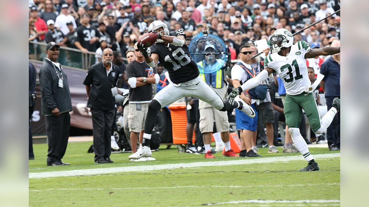 Andre Holmes Raiders