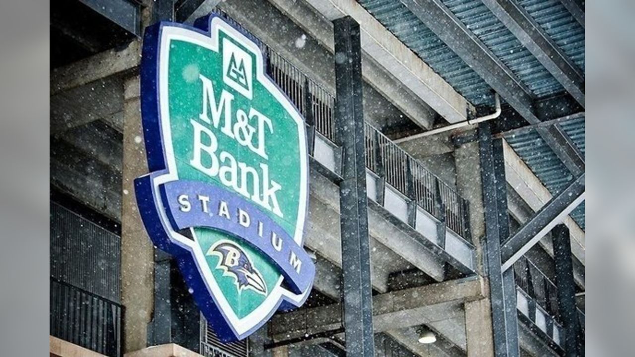 Mandt Bank Stadium Logo