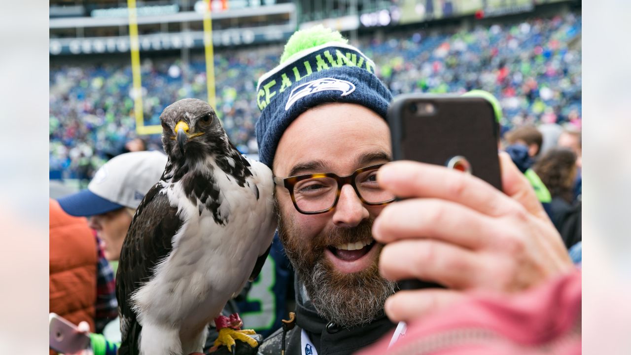 Seahawks Bird Mascot