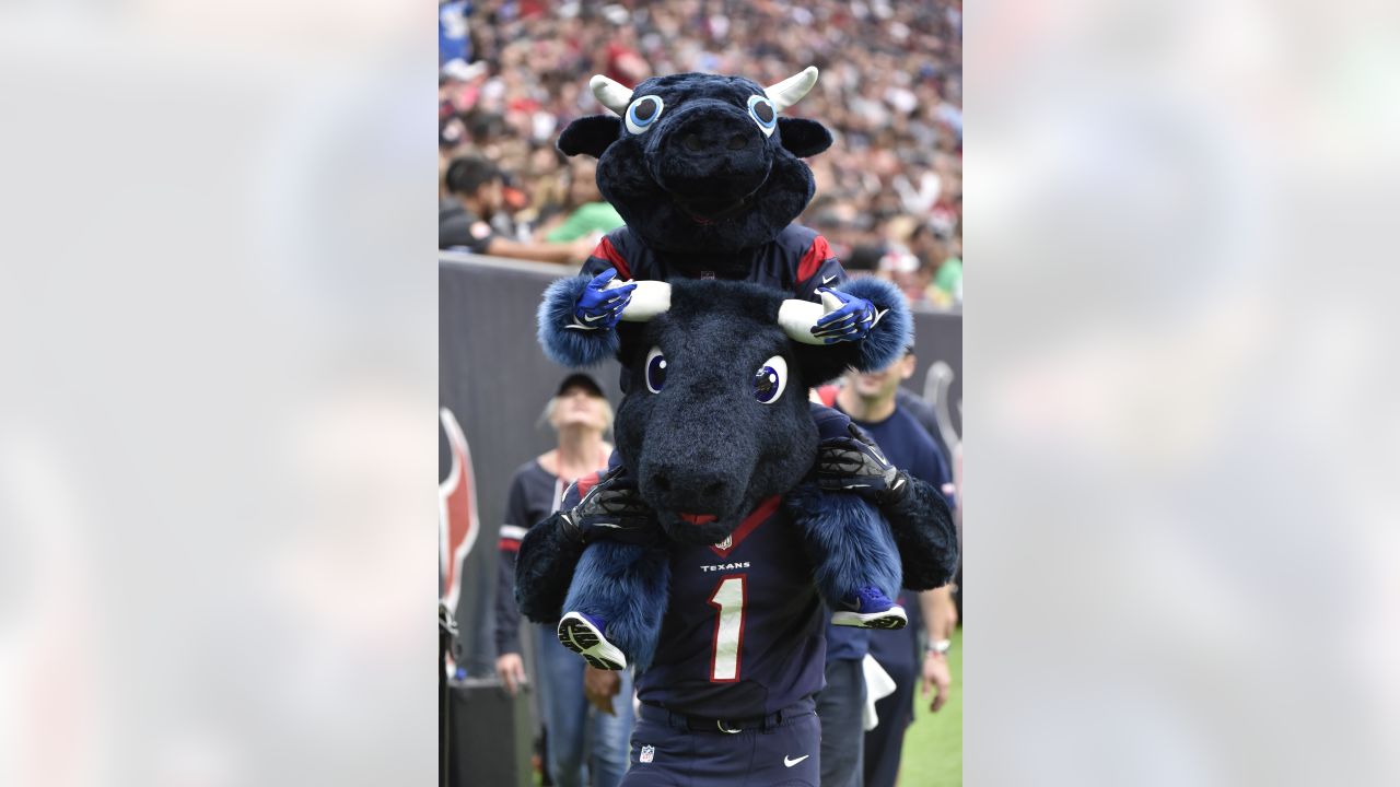 Texans Mascot