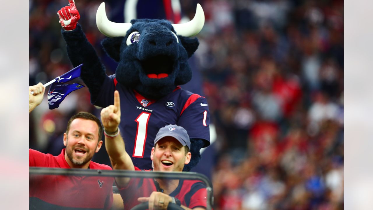 Texans Mascot