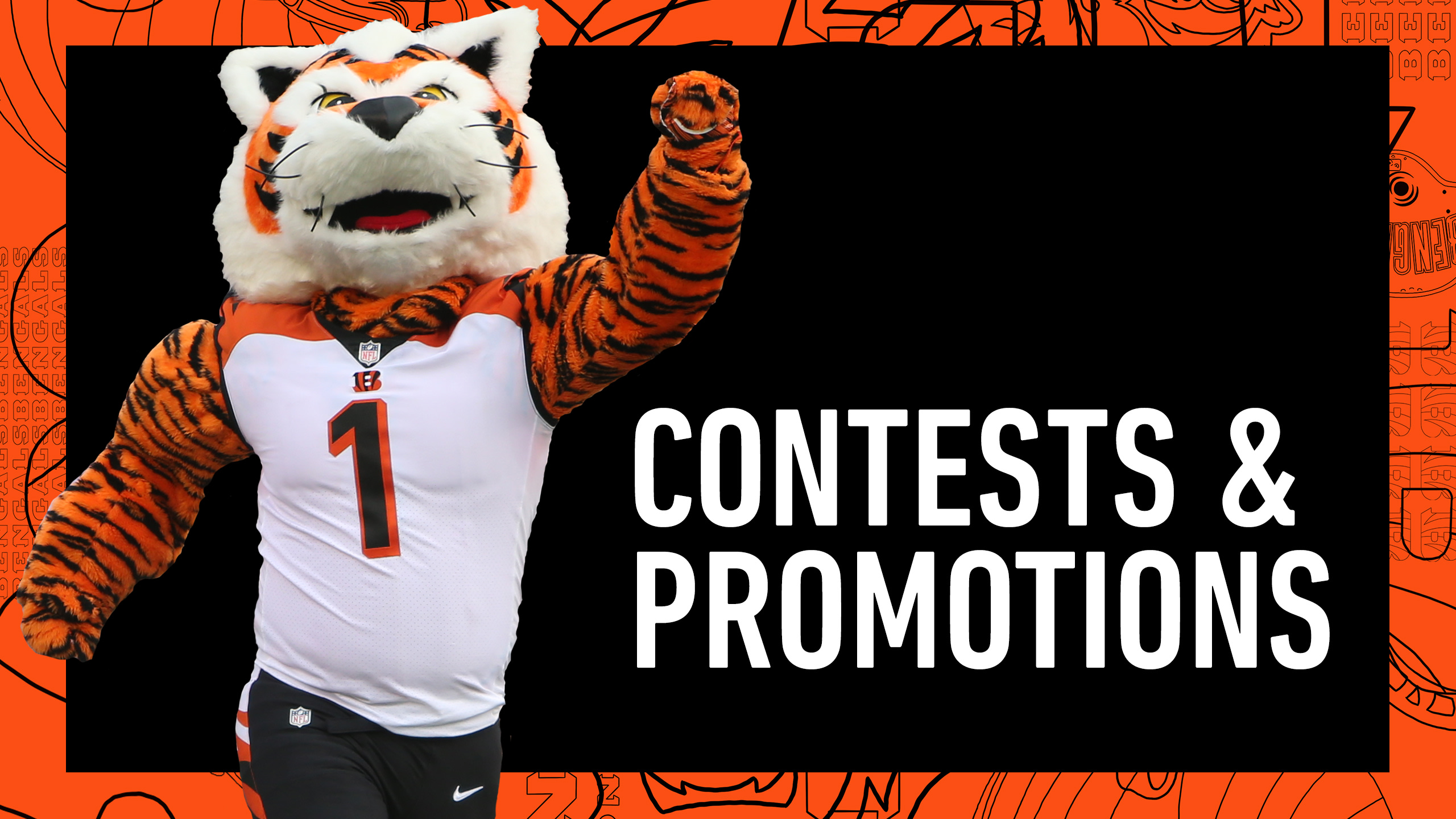 The Official Site of the Cincinnati Bengals