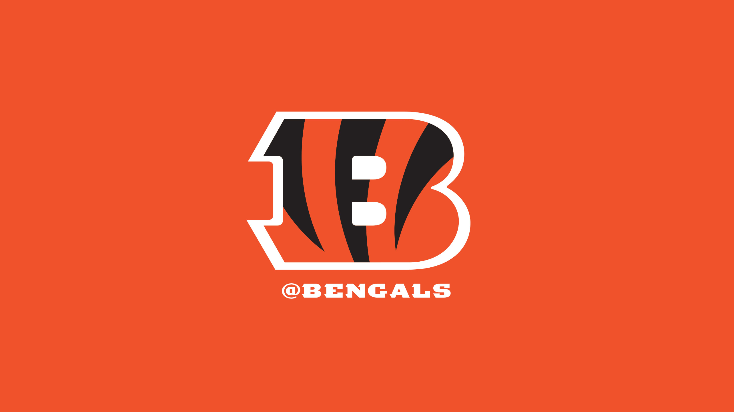 Cincinnati Bengals Fans | 2018 Wallpaper - Bengals.com