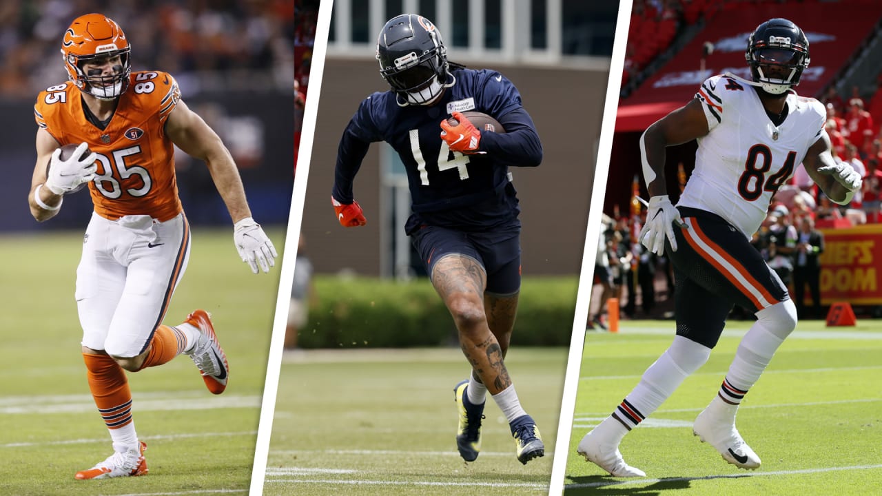 Bears 2024 position preview: Tight end