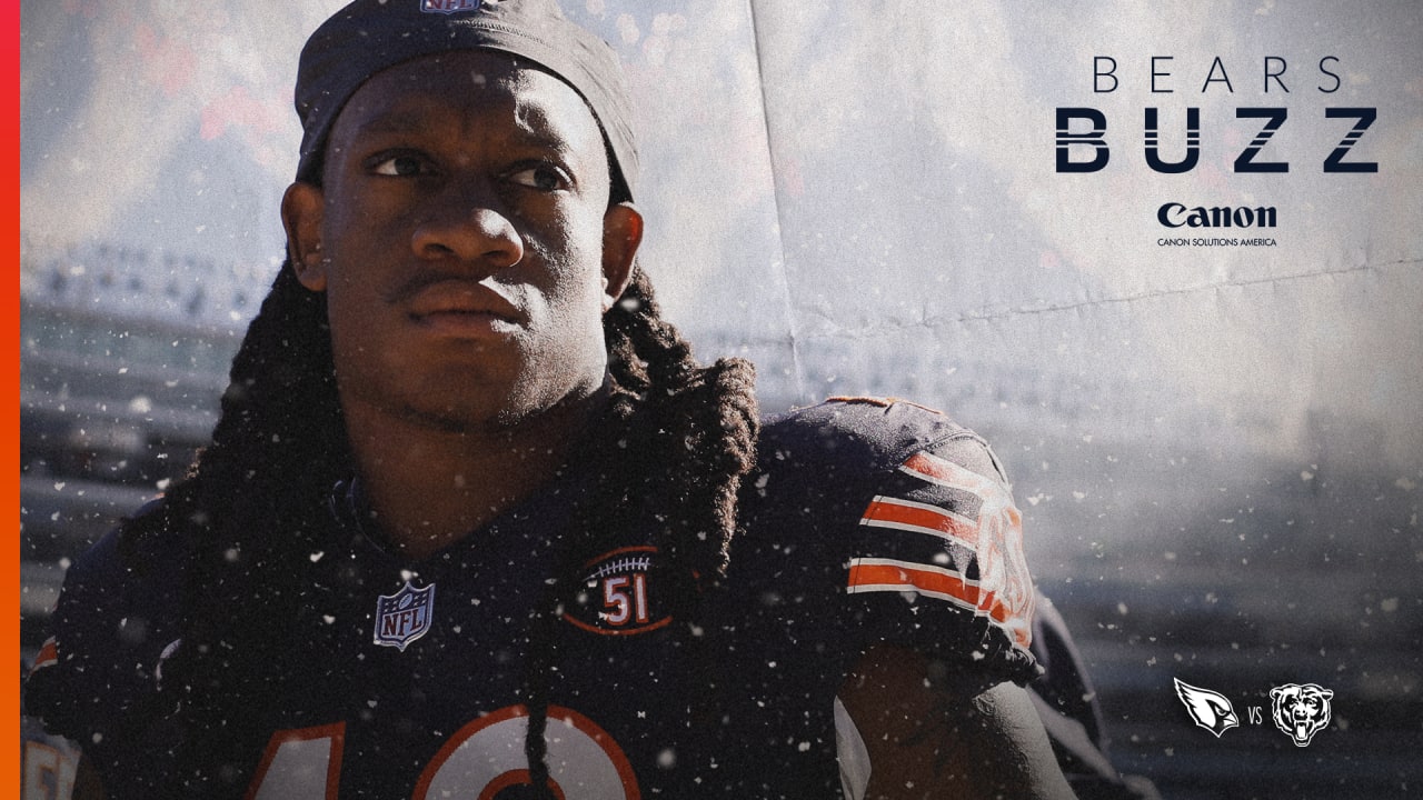 Bears vs. Cardinals Trailer | Bears Buzz