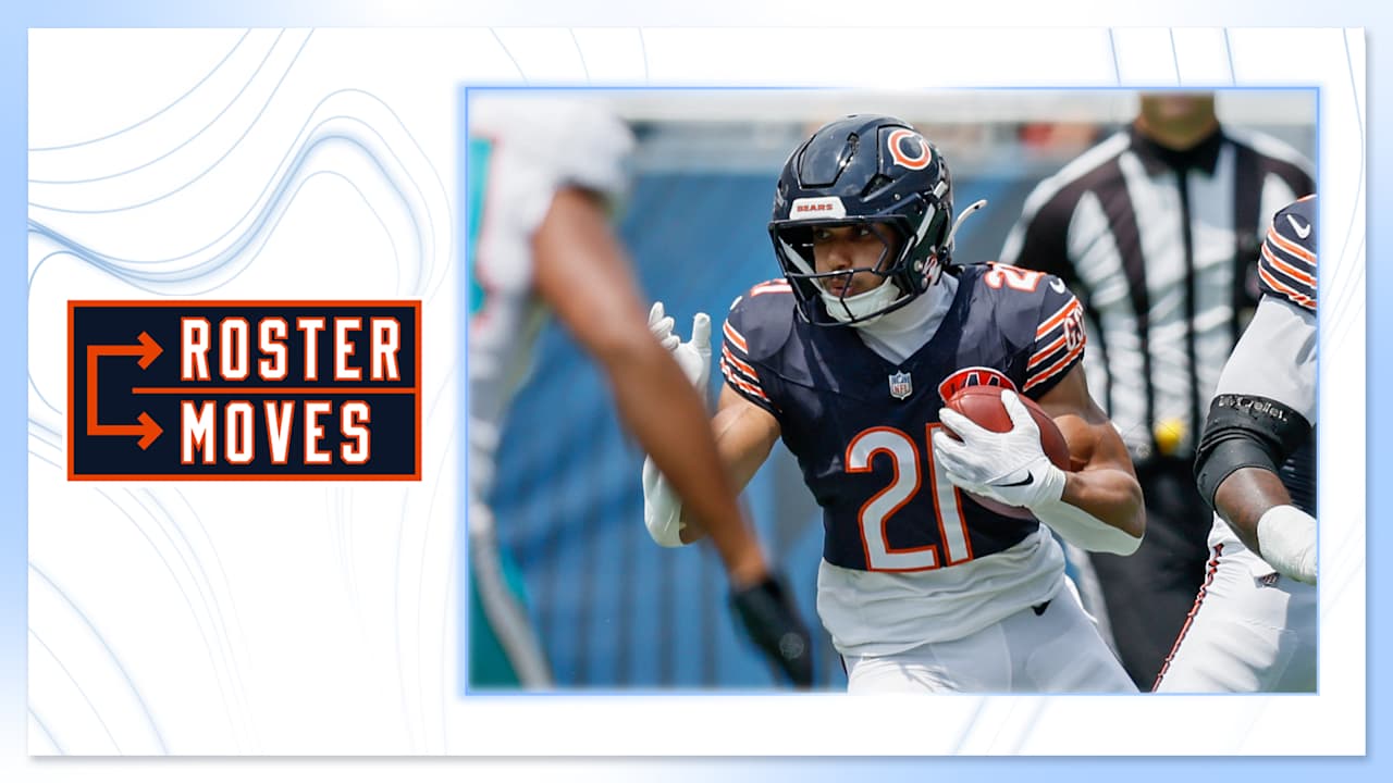 Roster Moves: Chicago Bears activate Homer, elevate two