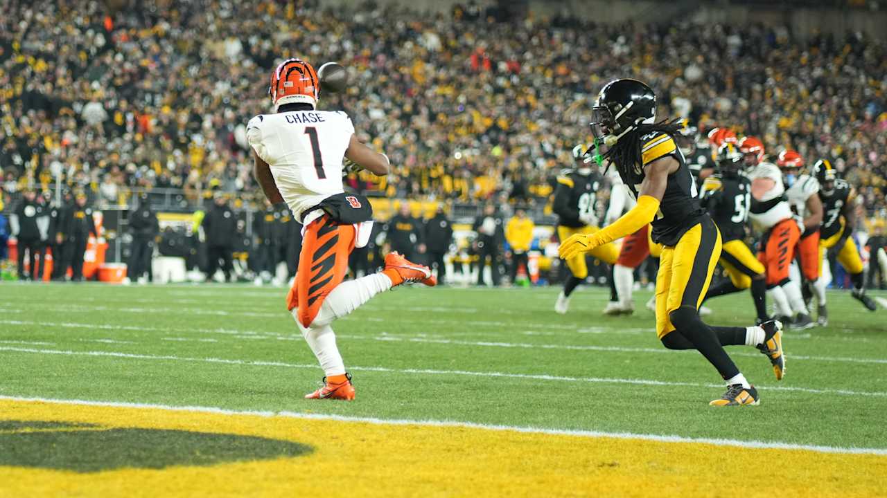 Every Bengals Touchdown of 2024 | 2024 HIGHLIGHTS