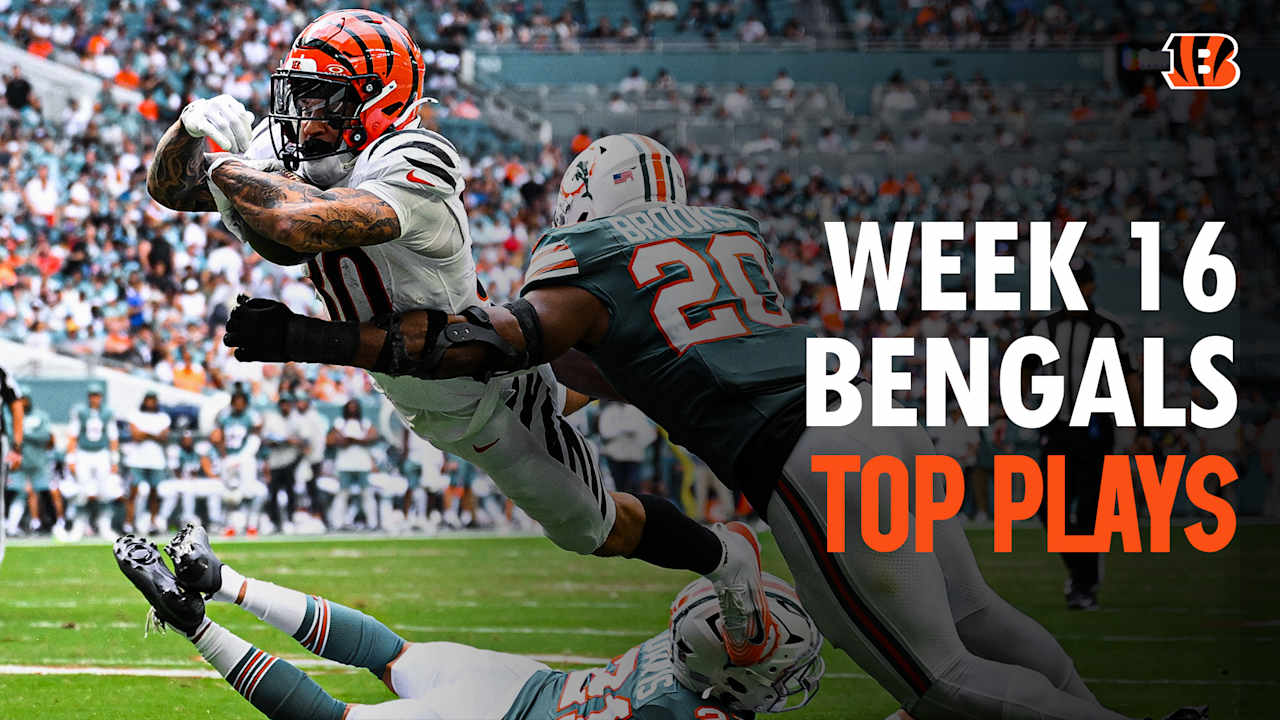 Bengals' top plays vs. Dolphins Week 16 | 2025 HIGHLIGHTS