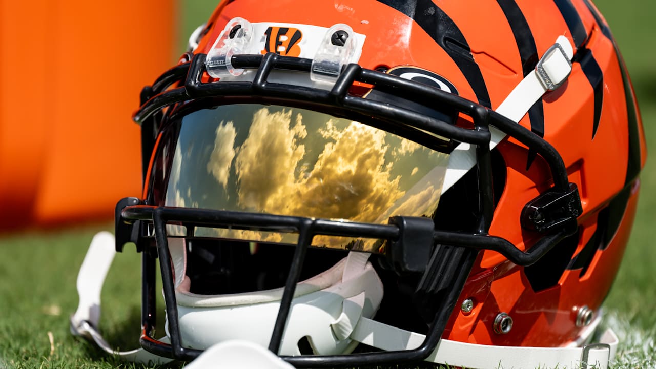 Bengals 2025 Free Agents