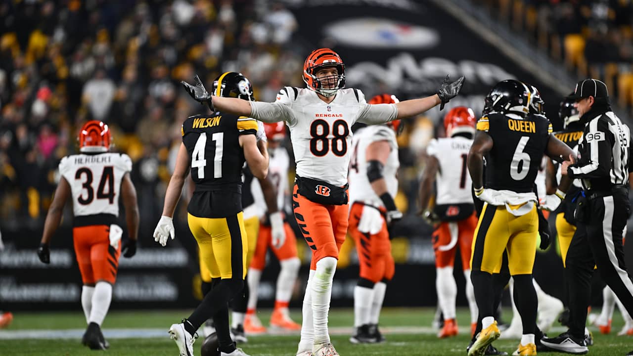 Mike Gesicki 2024 Season Highlights