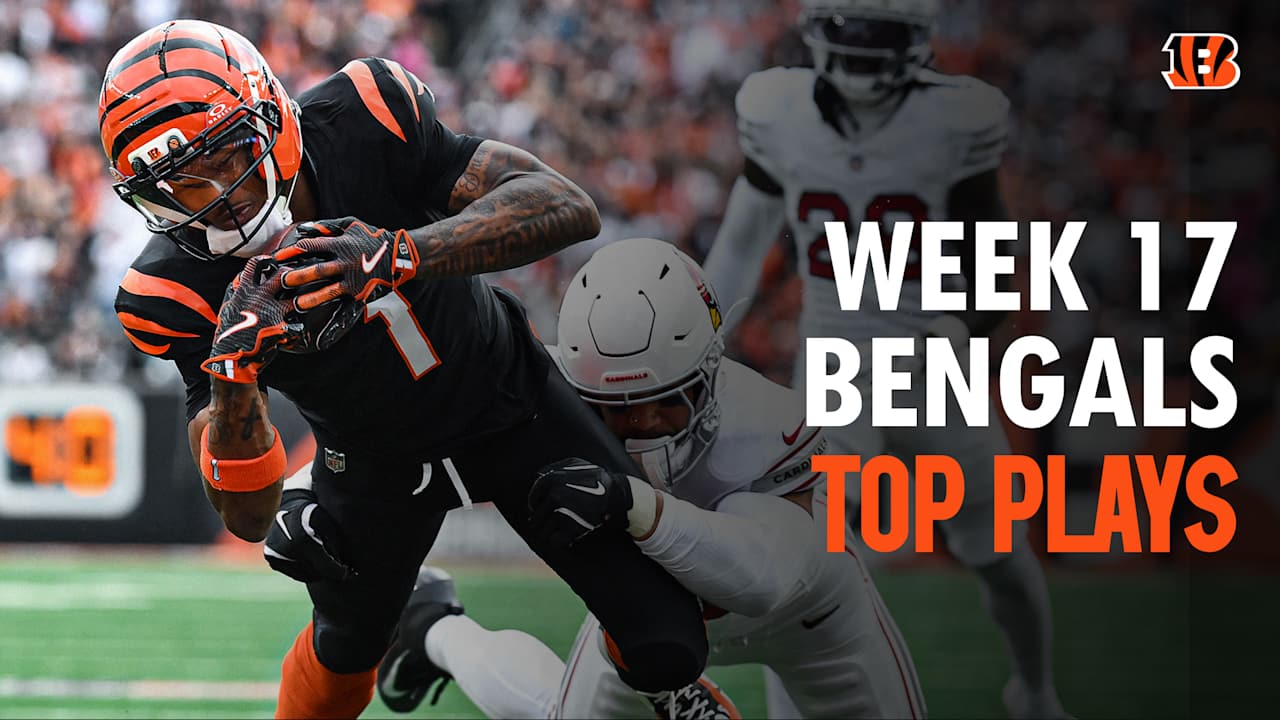Bengals' top plays vs. Cardinals Week 17 | 2025 HIGHLIGHTS