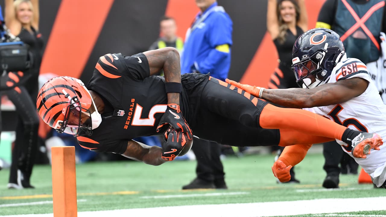 Bears vs Bengals Game Action | GAME PHOTOS