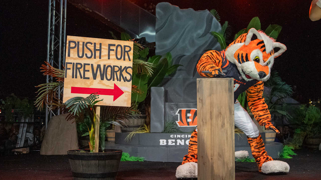 Best of Who Dey on National Mascot Day | PHOTOS