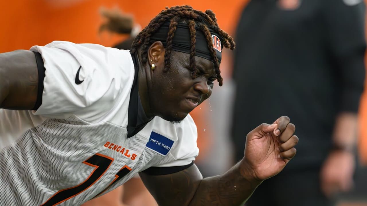 Quick Hits: Meet 'Overload,' Bengals' New Heavy Package Starring ...