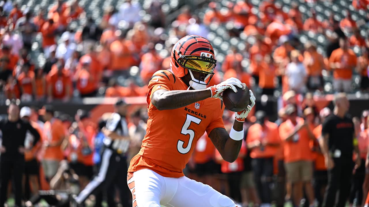 Tee Higgins third-down catch features strong-hands play | 2025 HIGHLIGHTS