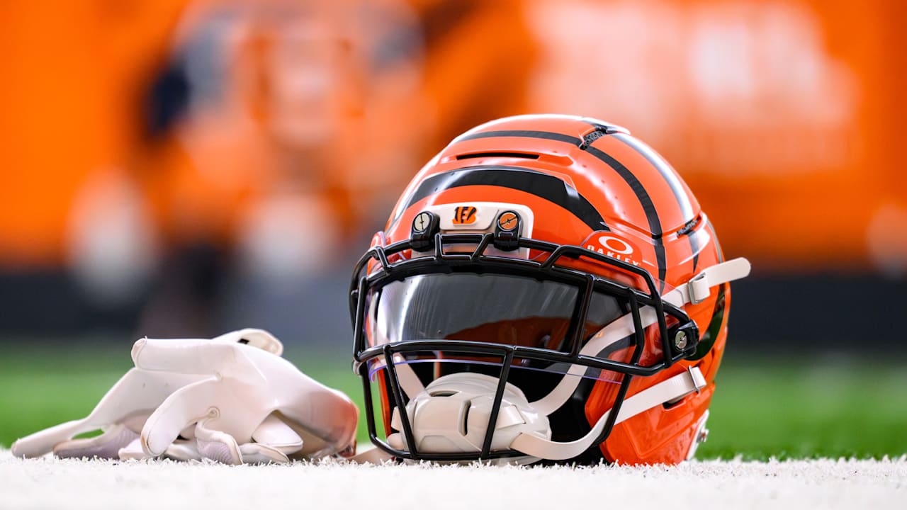 Bengals 2026 Offseason Overview
