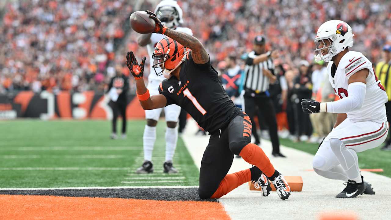 Cardinals vs Bengals Game Action | GAME PHOTOS