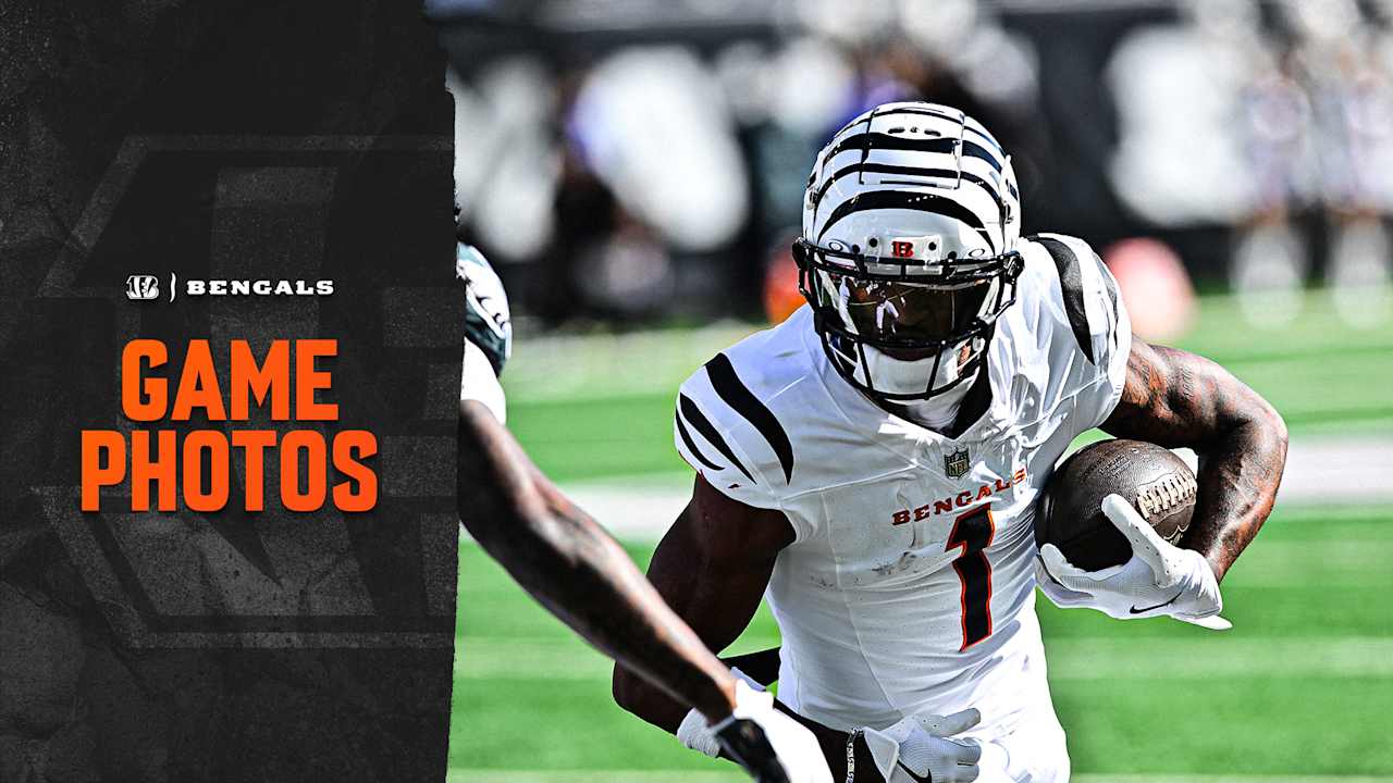 Best of Week 8 against Eagles | WHITE BENGAL GAME PHOTOS