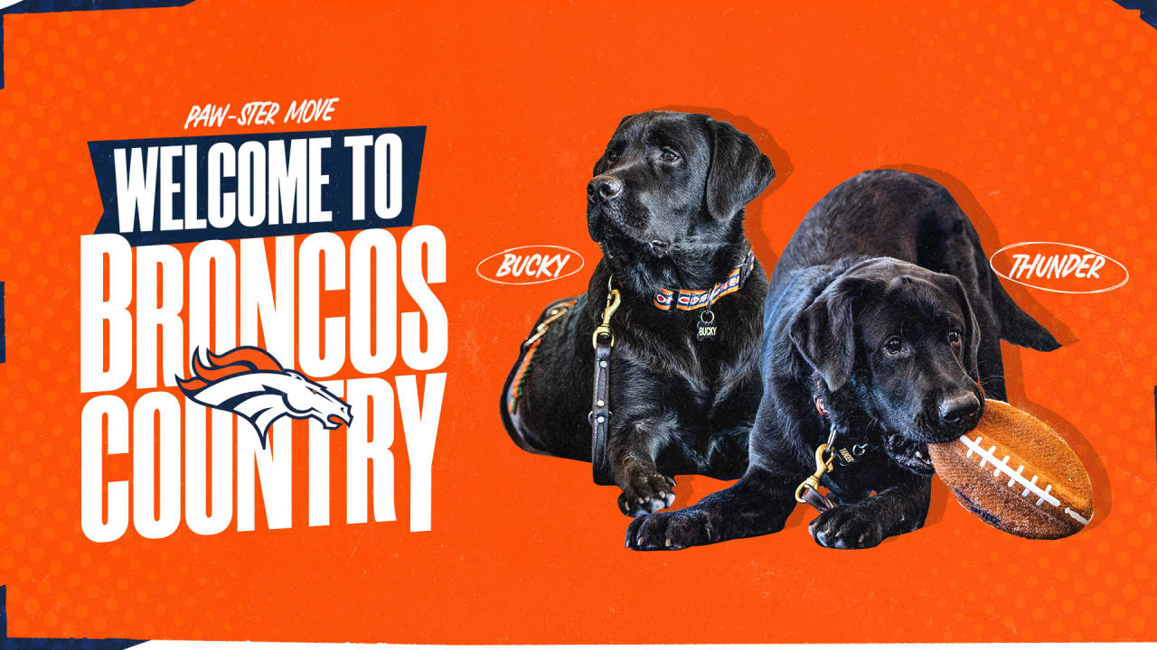 Denver Broncos to sponsor the training of two service dogs in ...