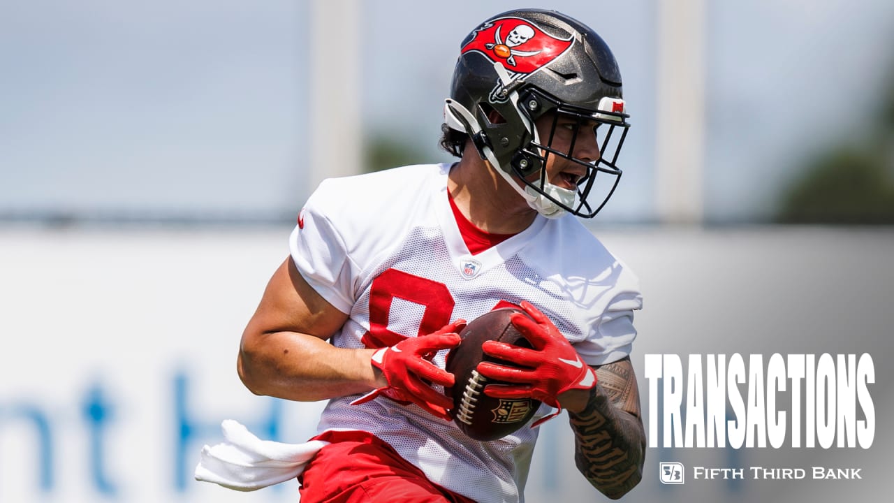 QB Zach Annexstad & TE Tanner Taula Start Tampa Bay Buccaneers Training ...