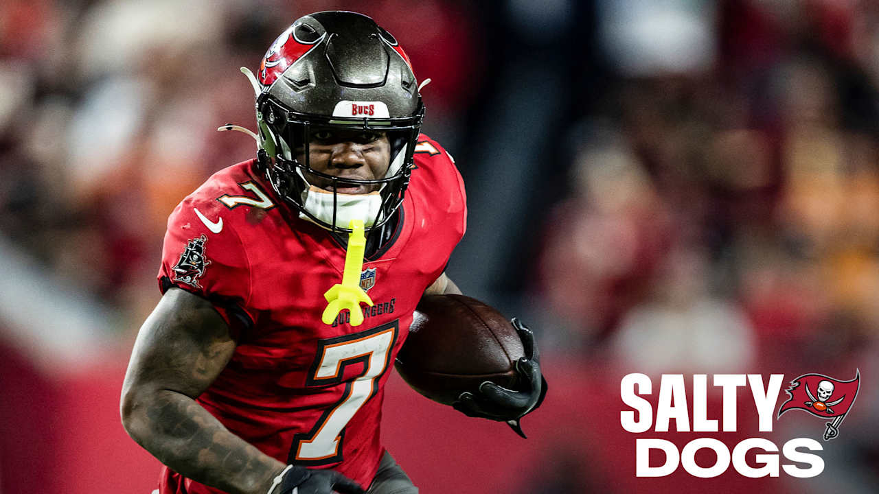 Bucs 2024 NFL Season In Review | Salty Dogs