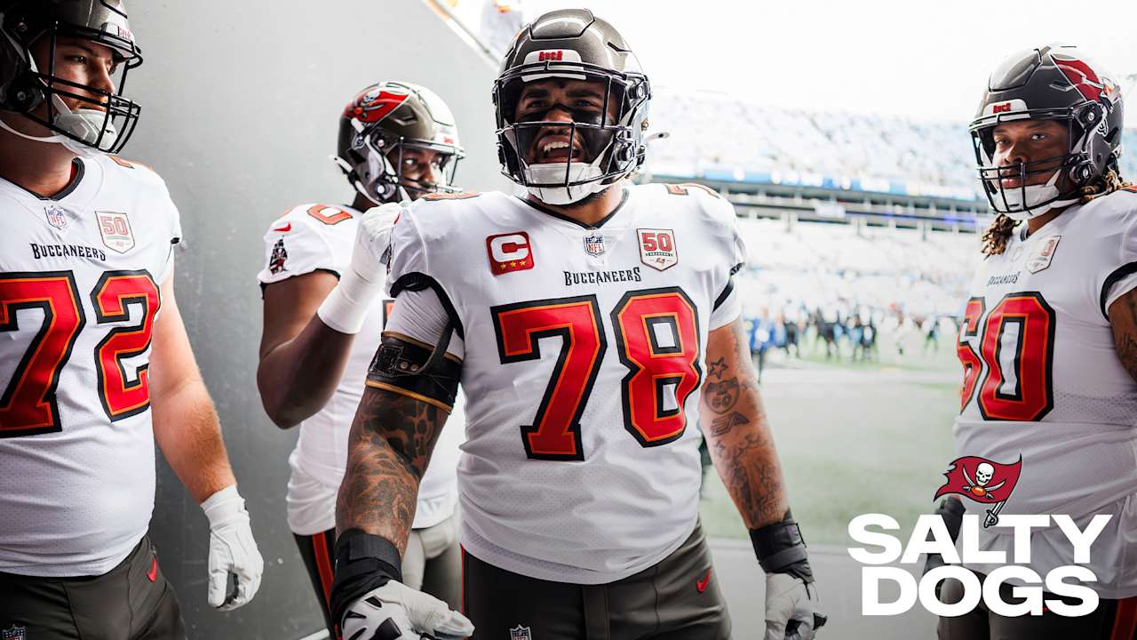 Pro Bowl Selections & Playoff Probabilities | Salty Dogs