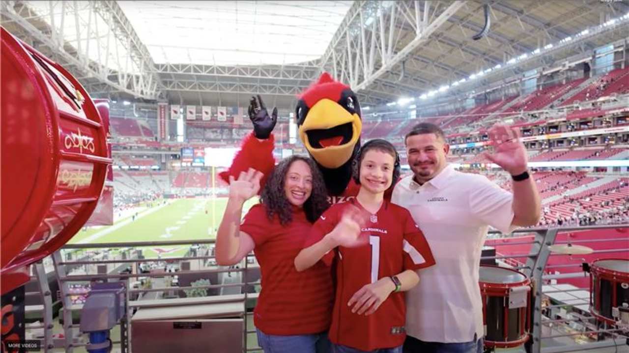 Cardinals, Pal Experiences Launch Program To Aid Fans With ...