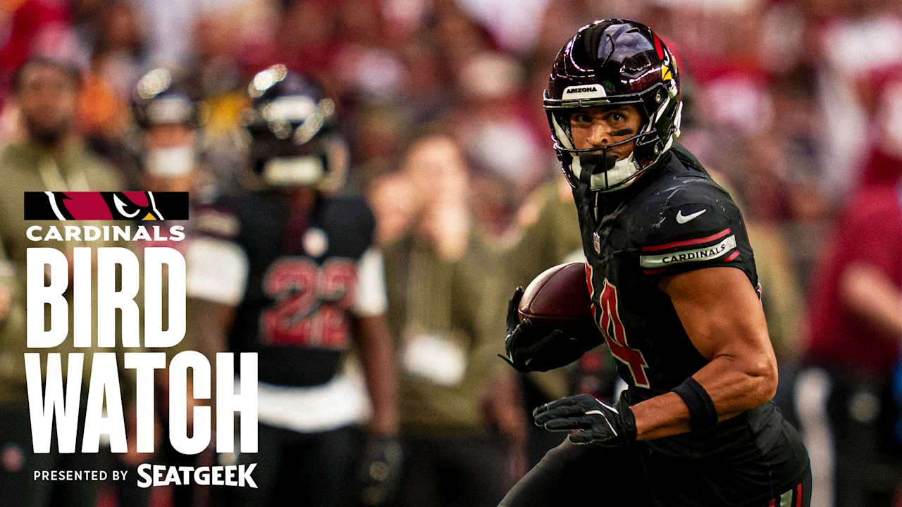 Cardinals Birdwatch: Catching Up With Sweaty J And Breaking Down ...