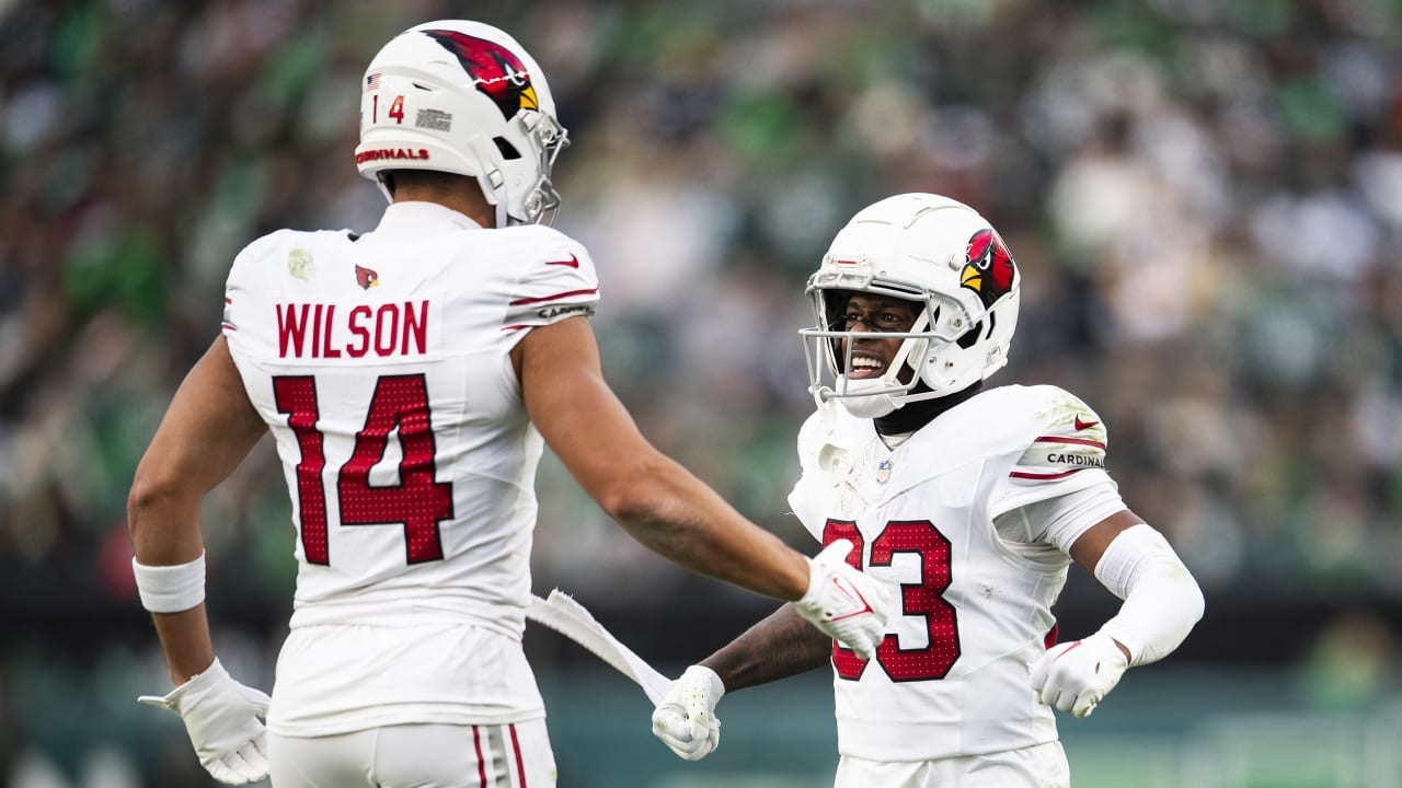 Cardinals need wide receivers beyond Michael Wilson and Greg Dortch ...