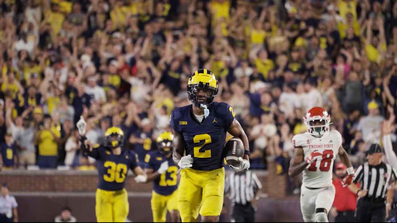 Will Johnson Sizzle
