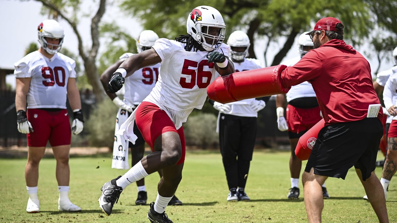 Cardinals DL Darius Robinson just wants to listen as he absorbs ...