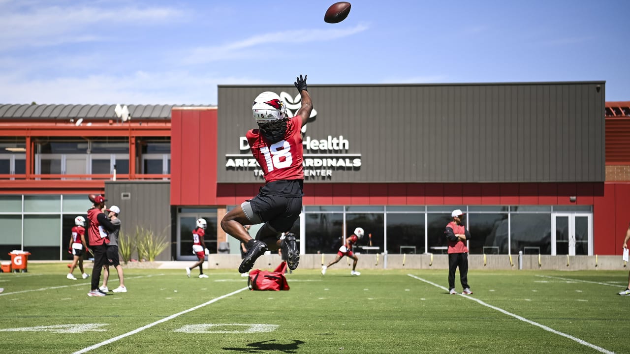 Cardinals WR Marvin Harrison Jr. earning high praise from teammates ...