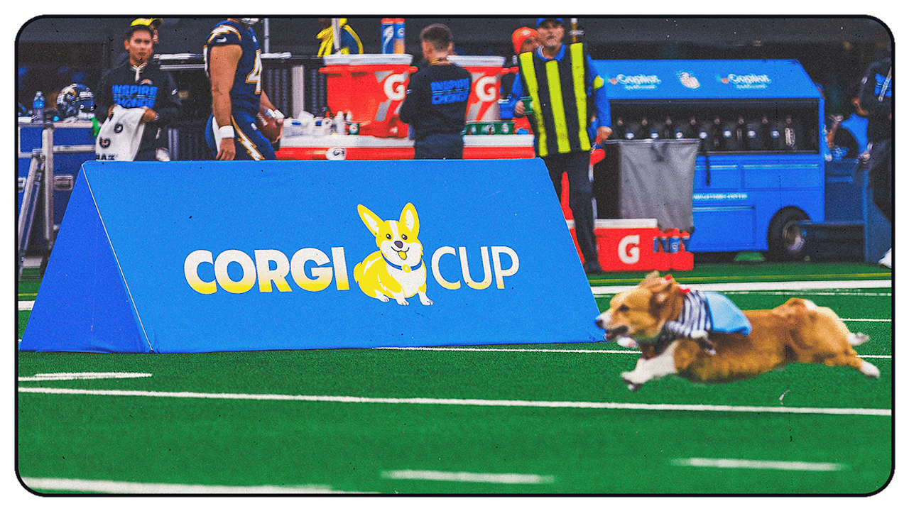 Corgis Race At Halftime At SoFi Stadium