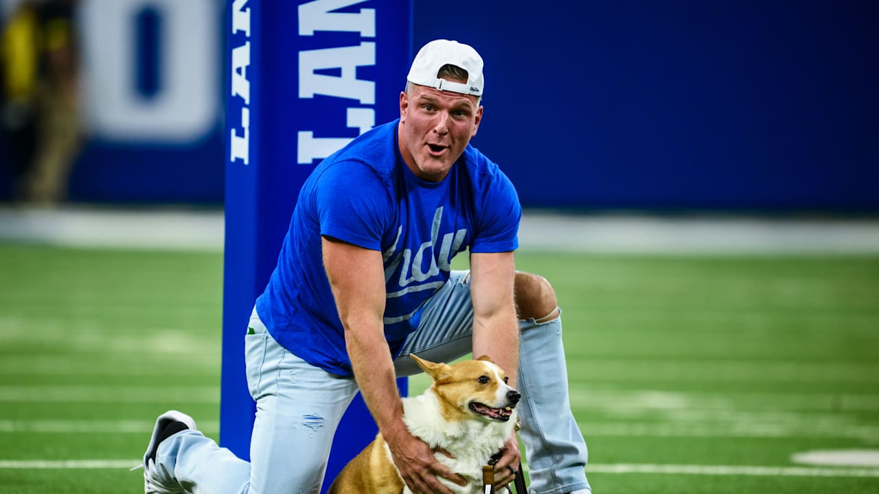 Stumpy Stampede: Week 5 halftime race featured a selection of corgis ...