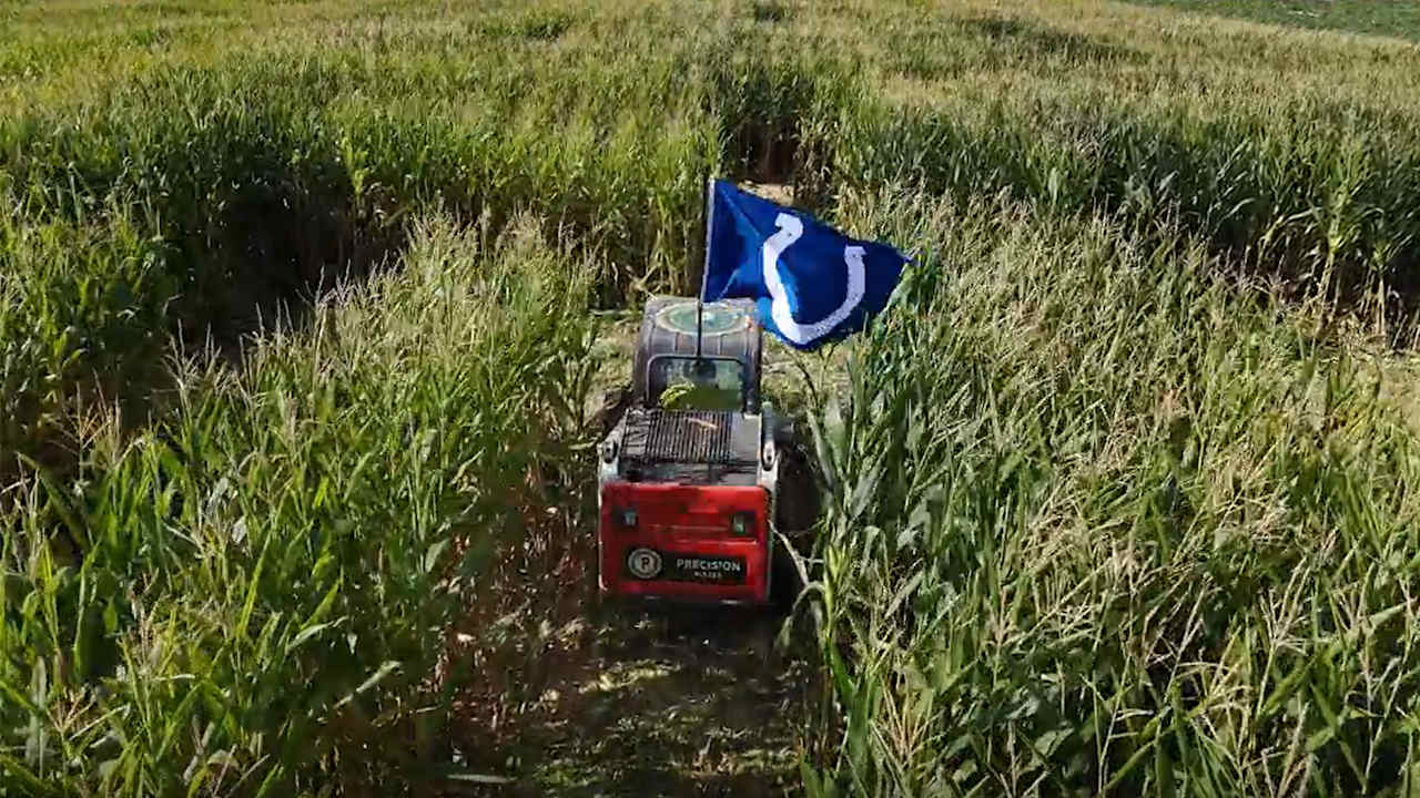For the Boss: A Colts corn maze