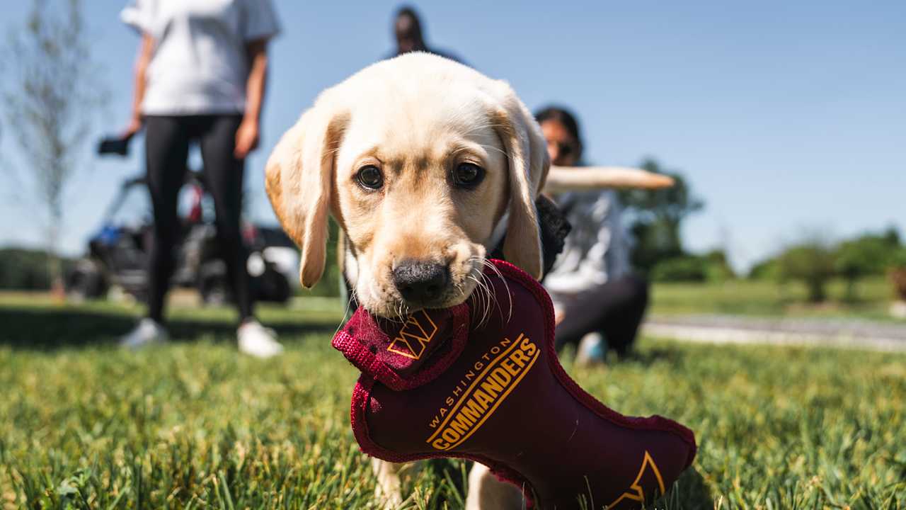 PHOTOS | Commanders welcome team dog TJ