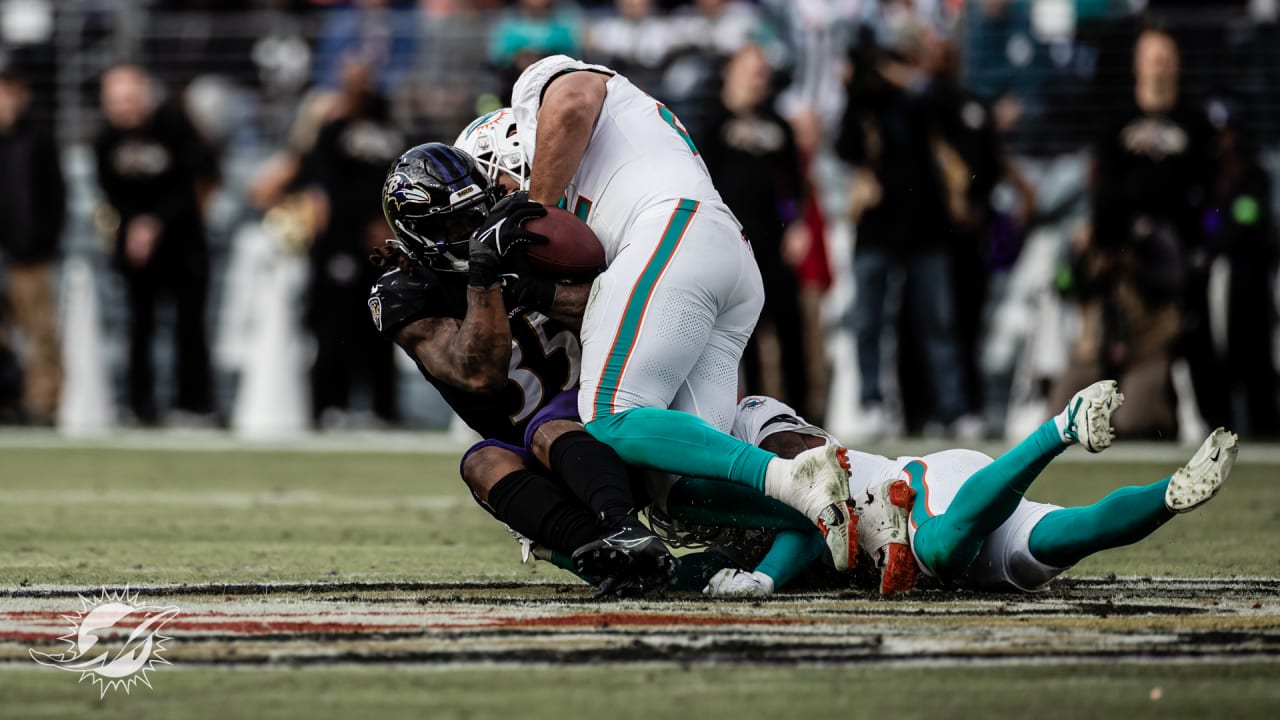 Zach Sieler Rips Football From Gus Edwards Forcing Fumble, Jevon ...