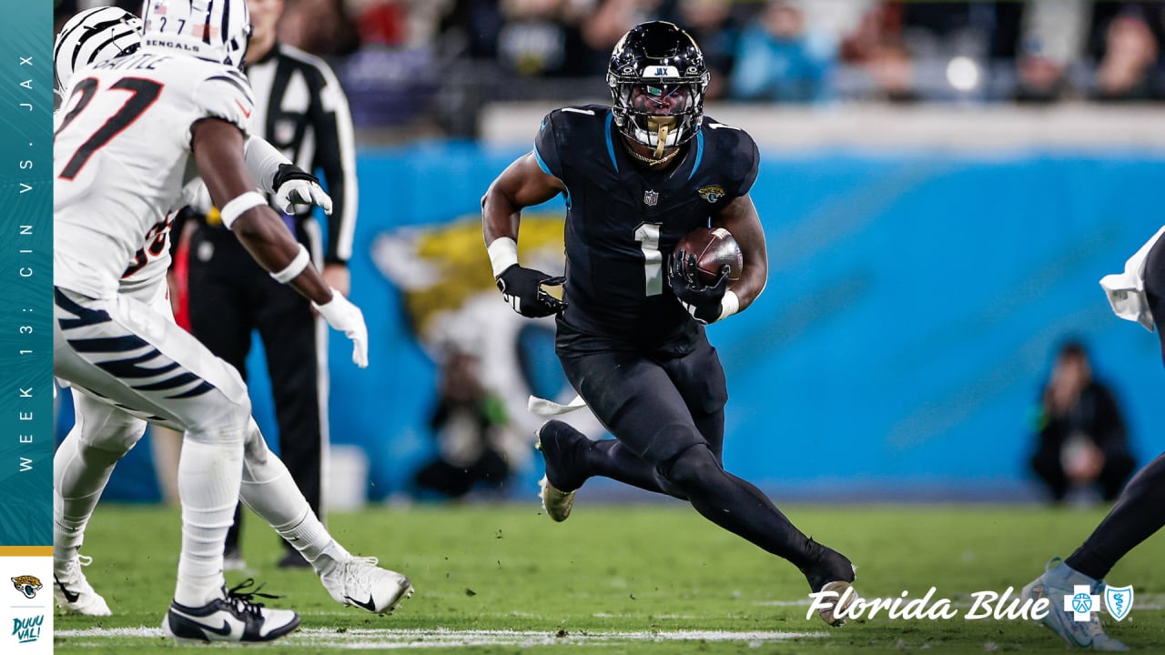 Week 13 Game Report: Bengals vs. Jaguars