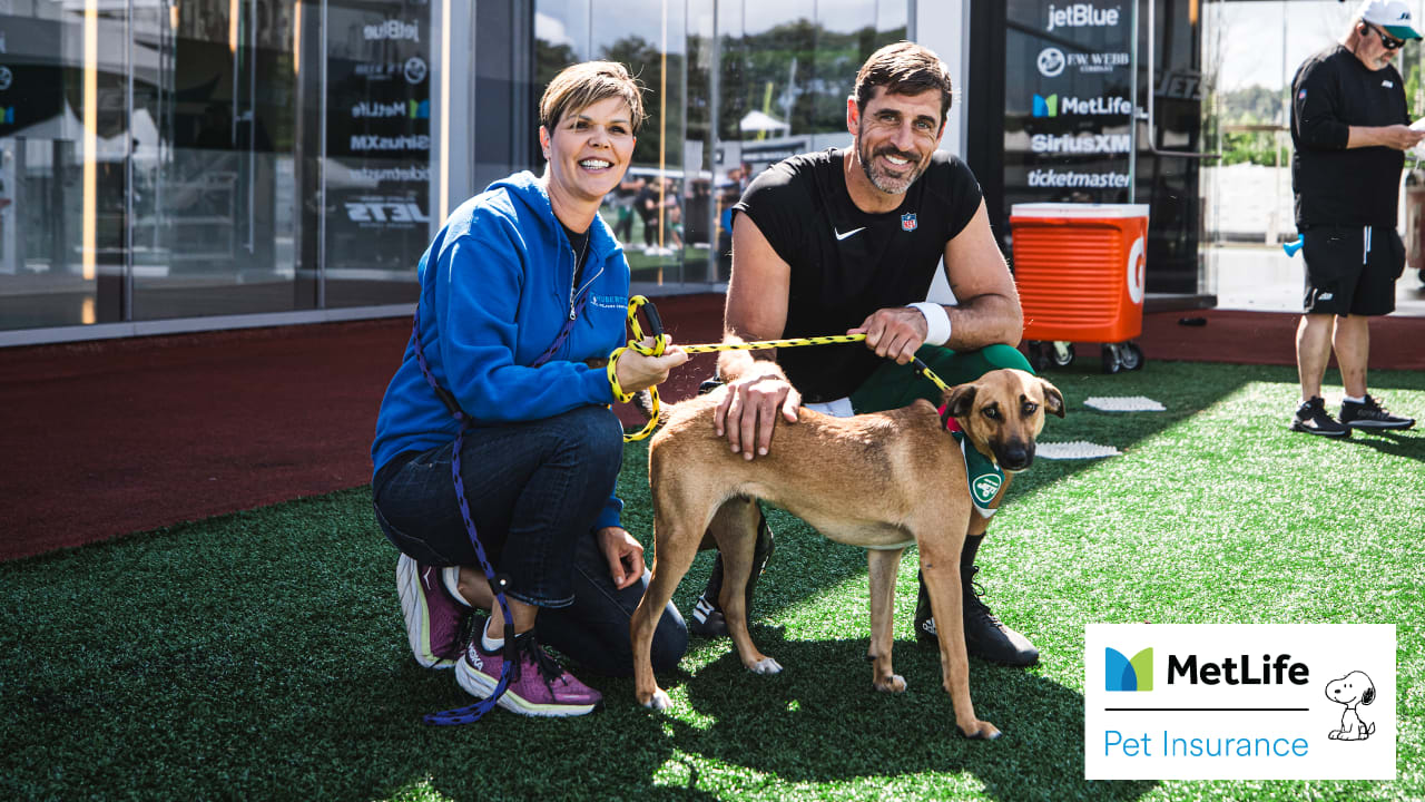 Gallery | MetLife Pet Insurance Brings Adoptable Dogs to Jets Training ...