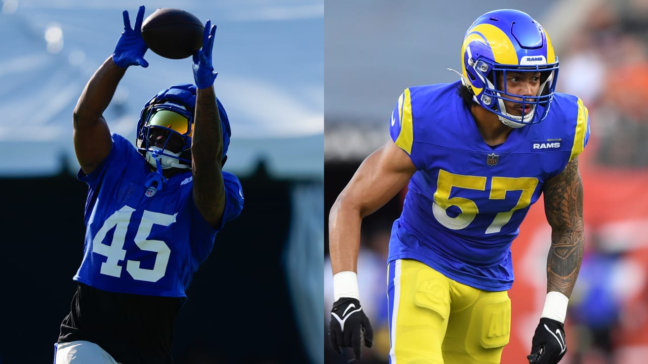 Jets Sign TE Neal Johnson, LB Anthony Hines