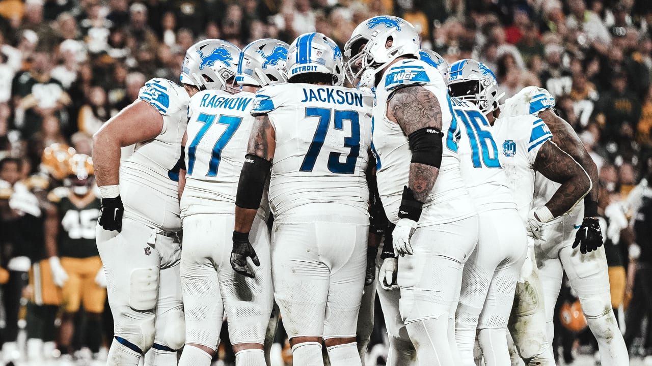 NFC NORTH: Where Detroit Lions, Minnesota Vikings, Green Bay Packers ...