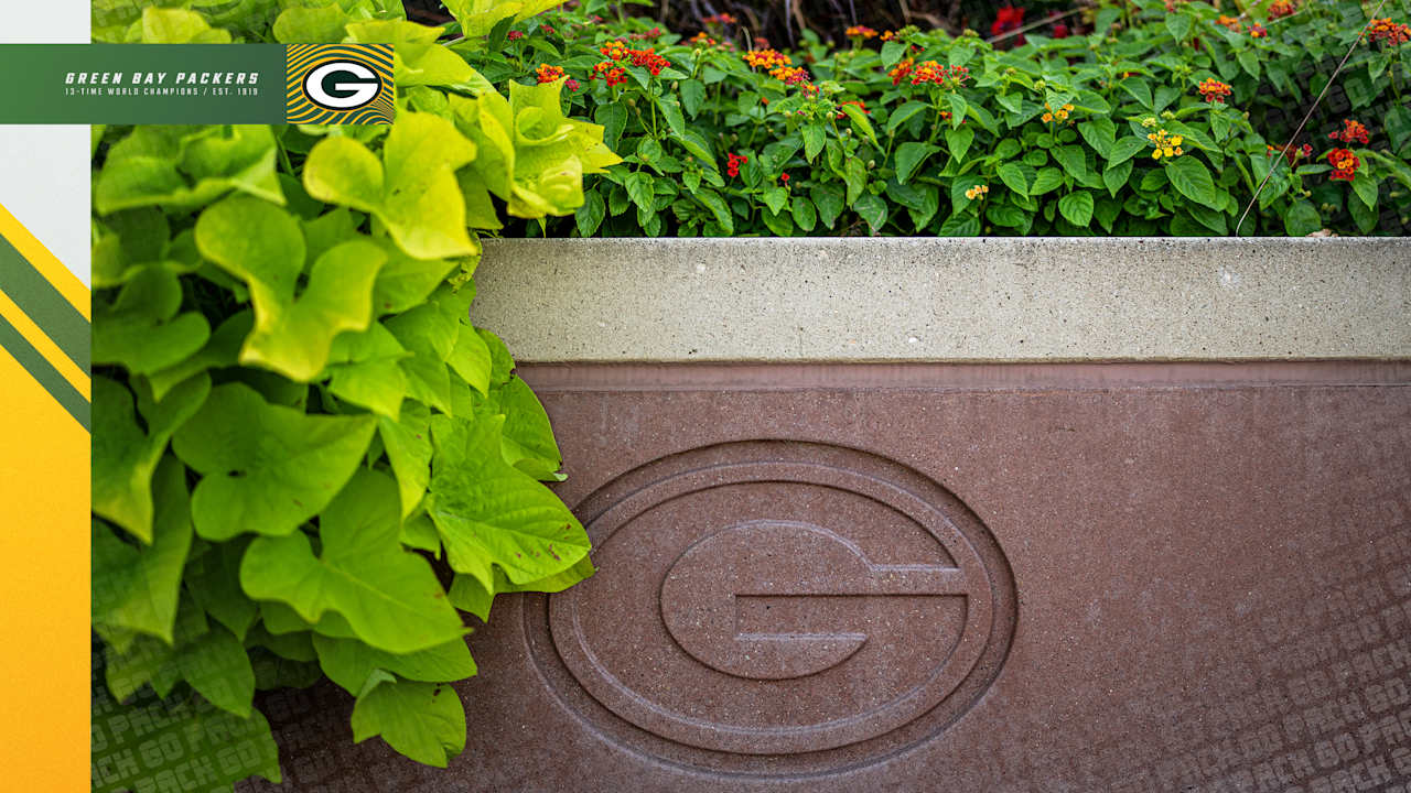 Packers Give Back awards $250,000 in Impact Grants to Green Bay ...