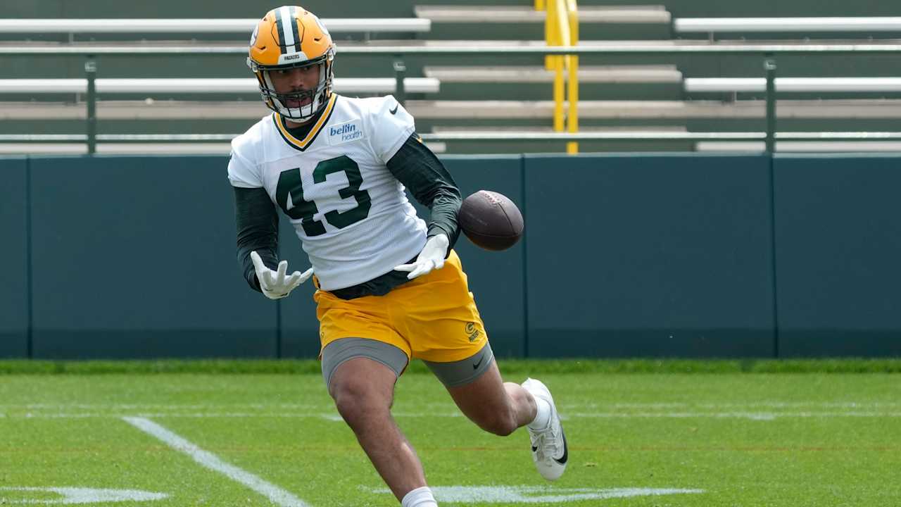 Panthers add former Packers tight end