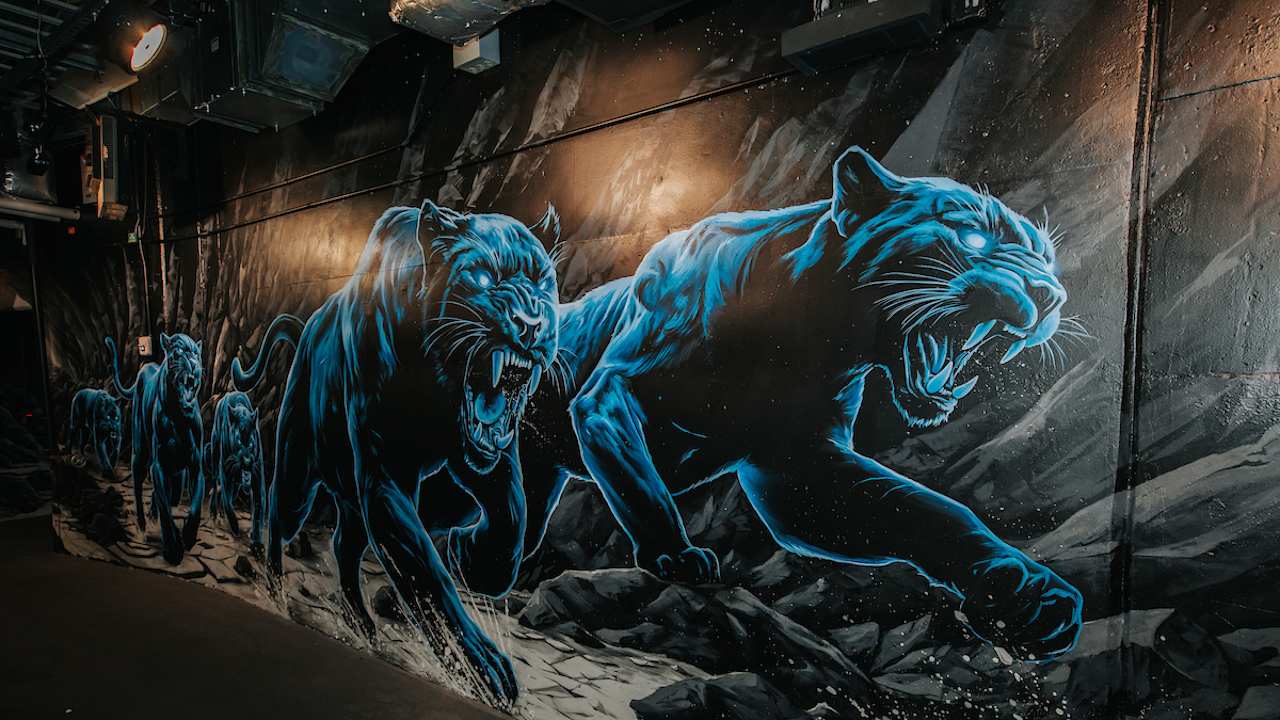 PHOTOS: Panthers unveil new mural at Bank of America Stadium