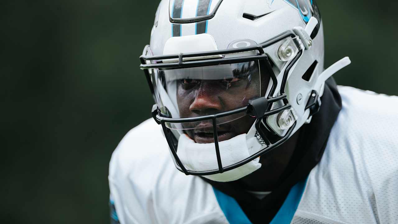 Panthers add defensive depth with several roster moves