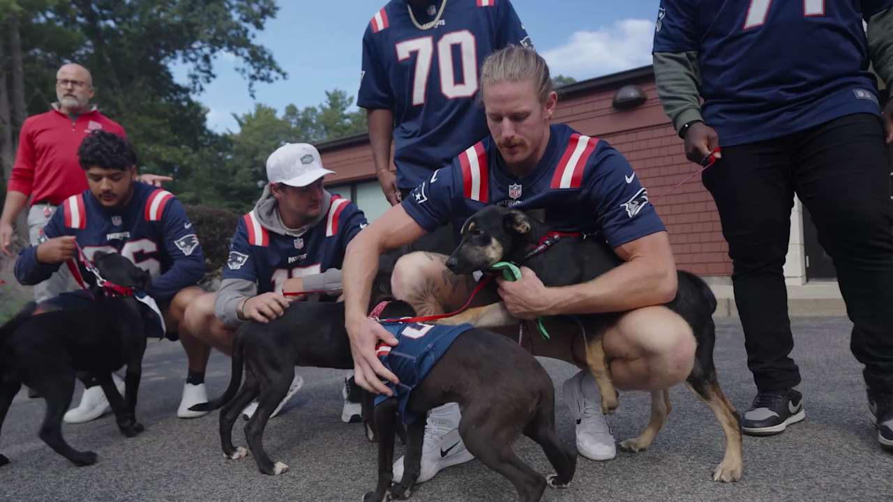 Animal Rescue League of Boston Visit Ahead of “TailGate” Watch Party