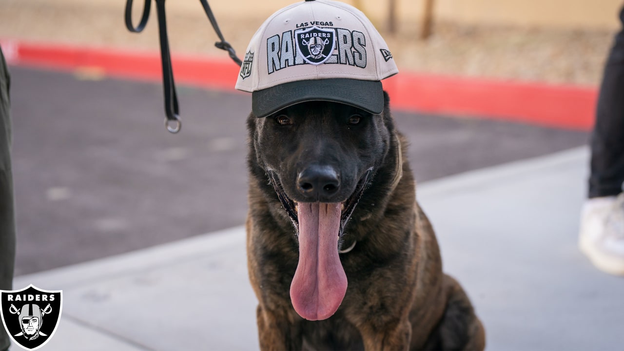 Furry hero K-9 Raider gets a celebratory visit from the Silver and Black