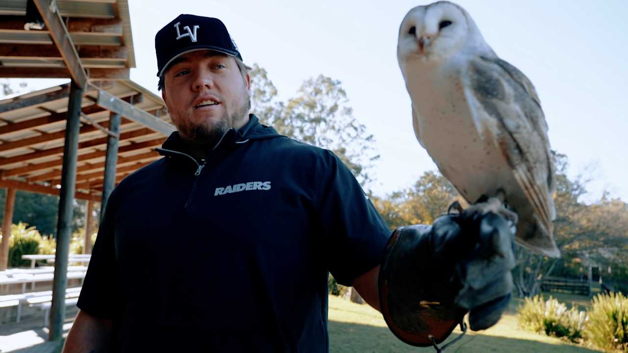 Jackson Powers-Johnson visits koala sanctuary and takes in the views of ...