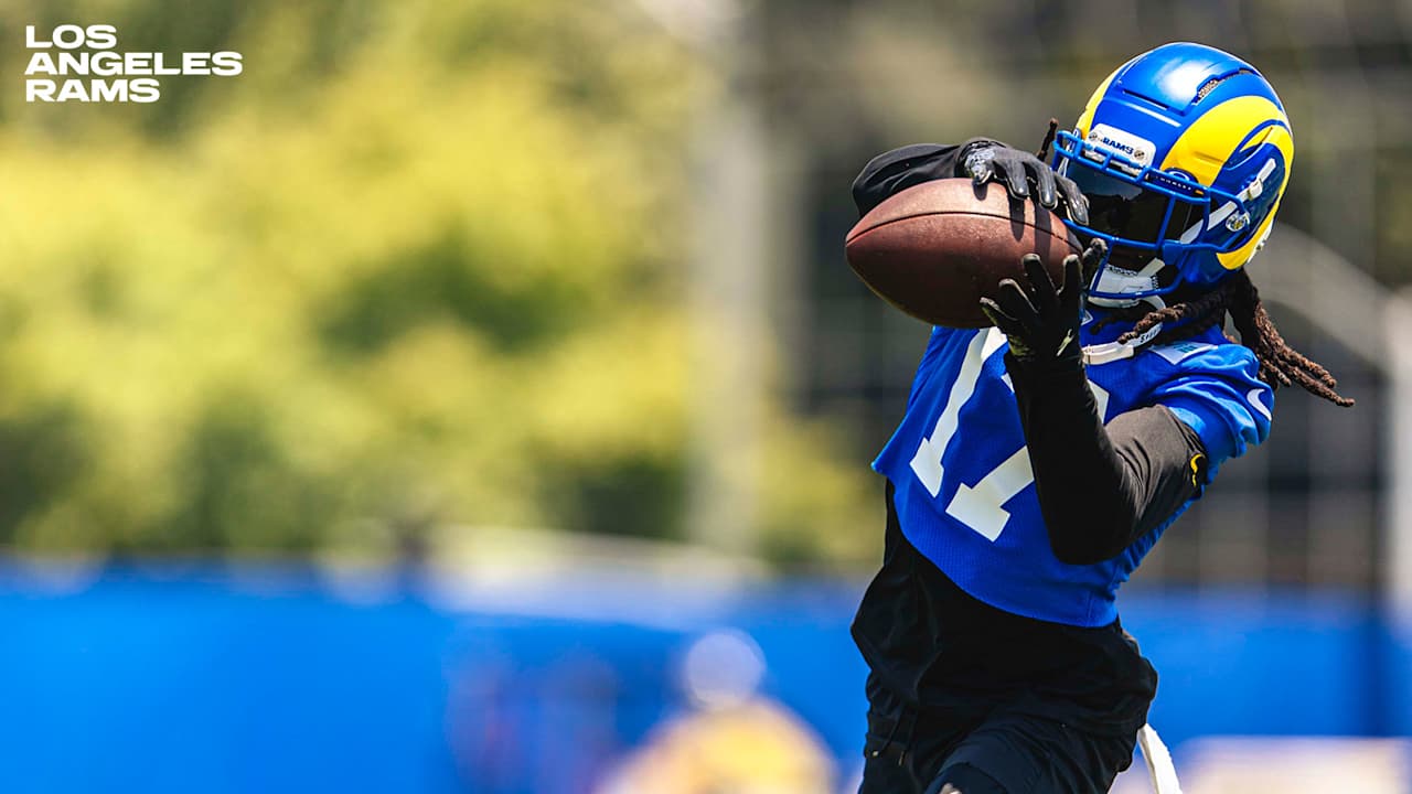 Rams 2025 Newcomer Update: Davante Adams